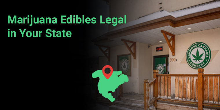 An absolute tour for different kinds of marijuana edibles: 101 guide